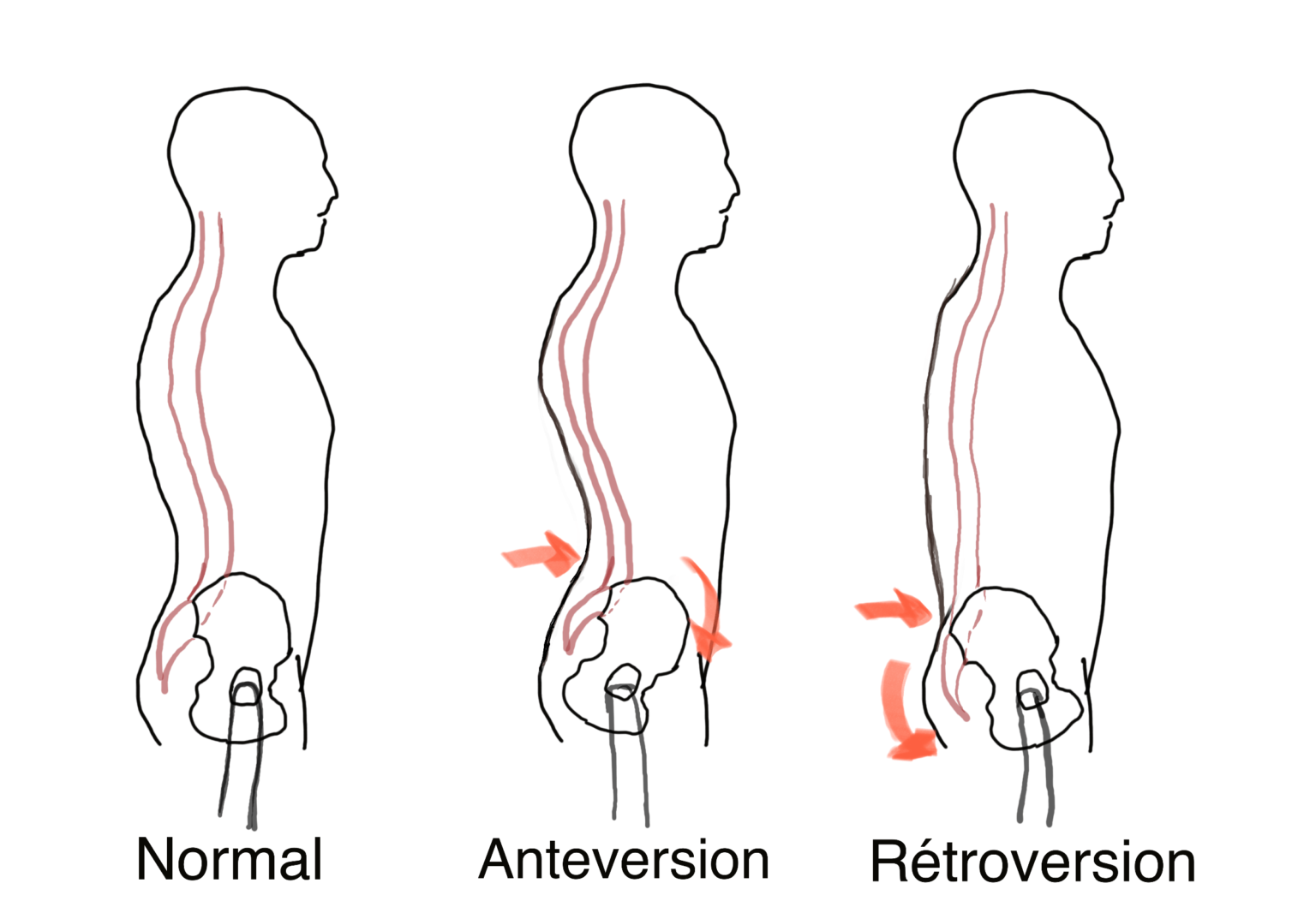 🥎Dites Adieu au Mal en Bas du Dos avec Ces Techniques d'Auto-Massage